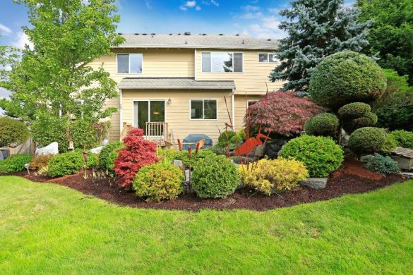 Conseils pour entretenir le jardin de votre maison